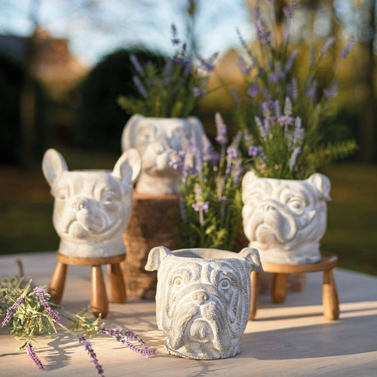 Buy Cement Puppy Dog Planter Online
