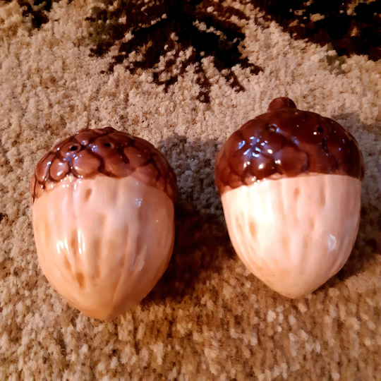 Buy Ceramic Fallen Acorn Salt & Pepper Shakers Online