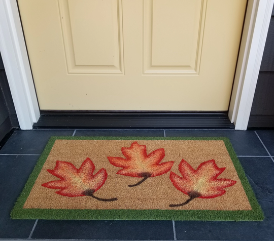 Buy Colorful Fall Colors Outdoor Mat, Fall Leaves Welcome Vibrant Maple ...