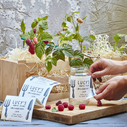 Buy Grow Your Own Loganberry Jam Gift Set Online
