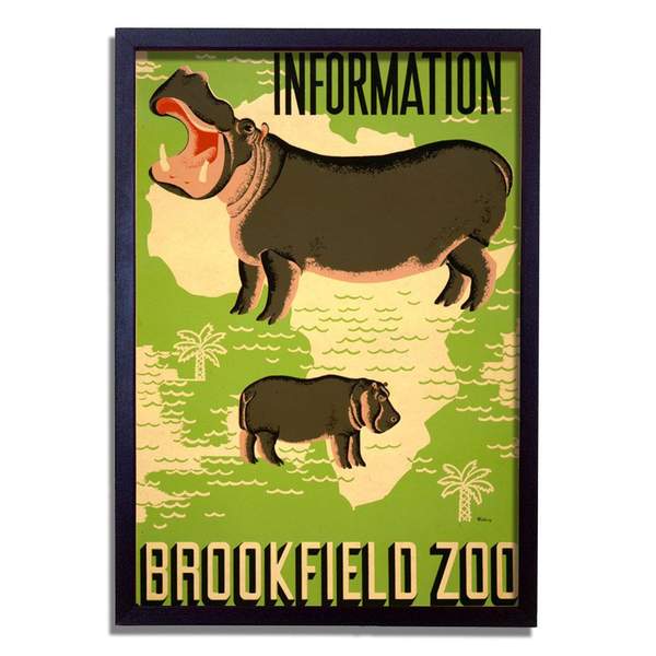 Buy Zoo Information Art Print A2 online | Technium.co.uk