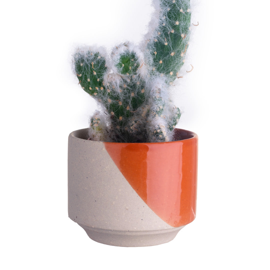 Buy Orange Java Plant Pot online | Technium.co.uk