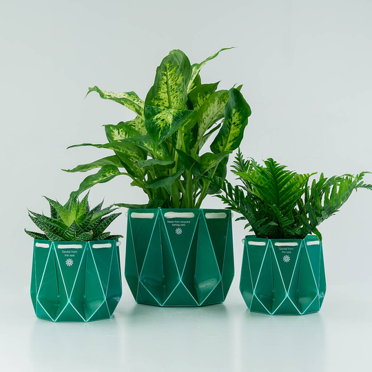 Buy Three Origami Self Watering Eco Plant Pots - Sea Waste Online