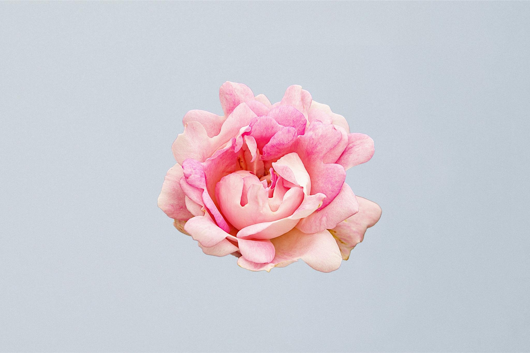 Interplant We Create The Next Generation