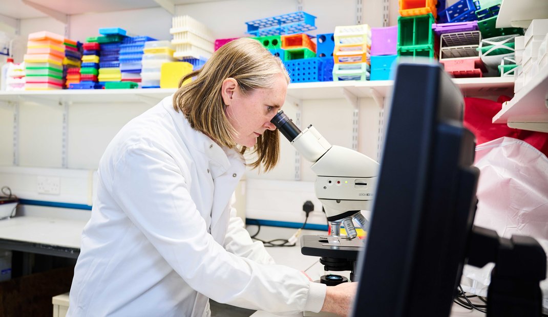 Our Research Strategy | Ovarian Cancer Research | Ovarian Cancer Action