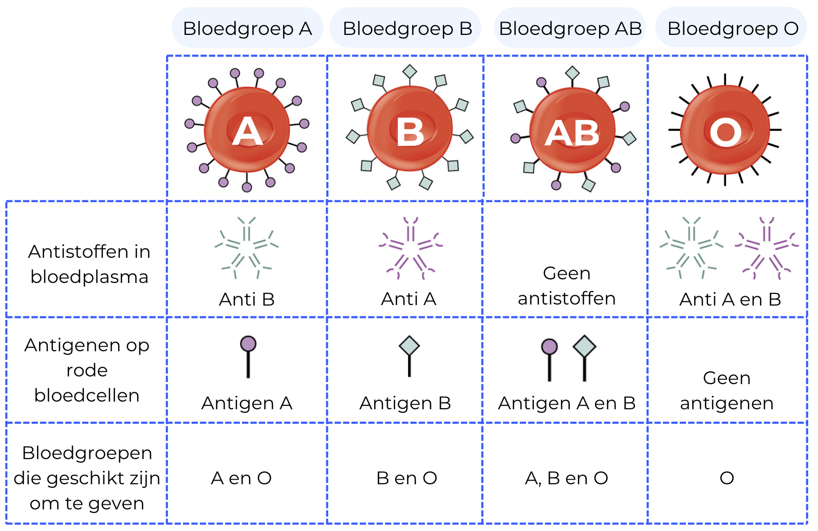 Bloedgroepen