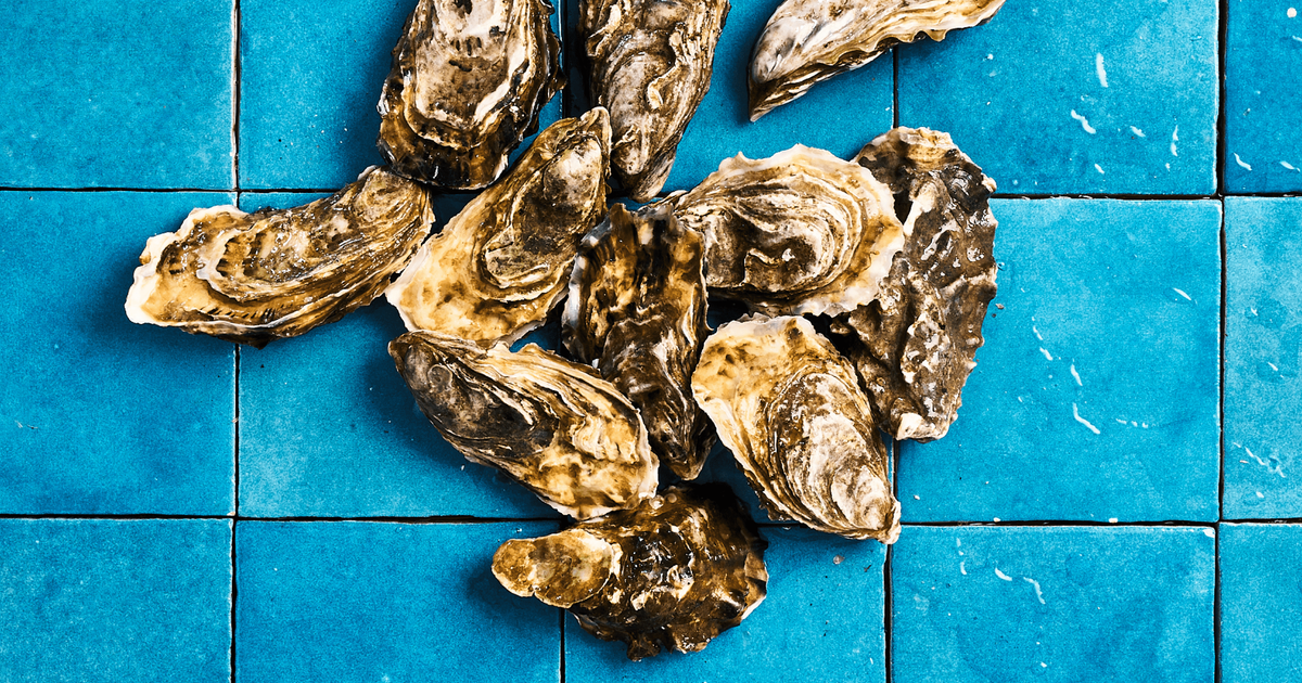 Tout savoir sur les huîtres creuses, avec Poiscaille
