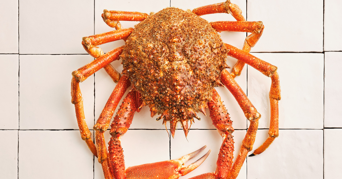 L'araignée de mer, le crustacé dont tout le monde parle