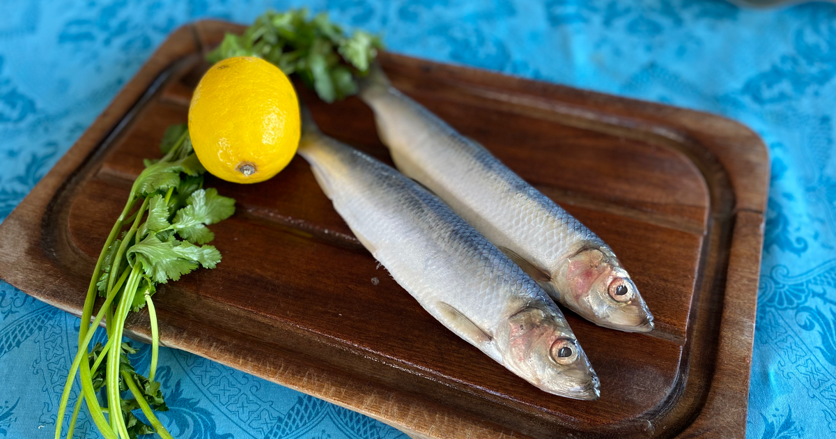 La meilleure façon de déguster les harengs : en marinade