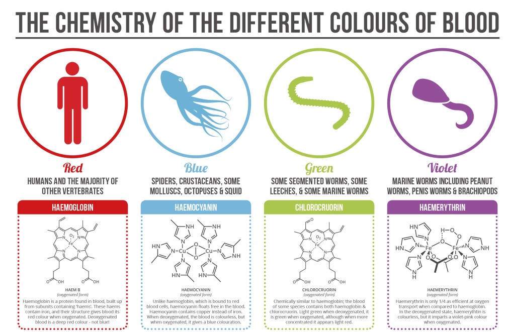 Los distintos tipos de colores de la sangre, ¡esto sí que e…