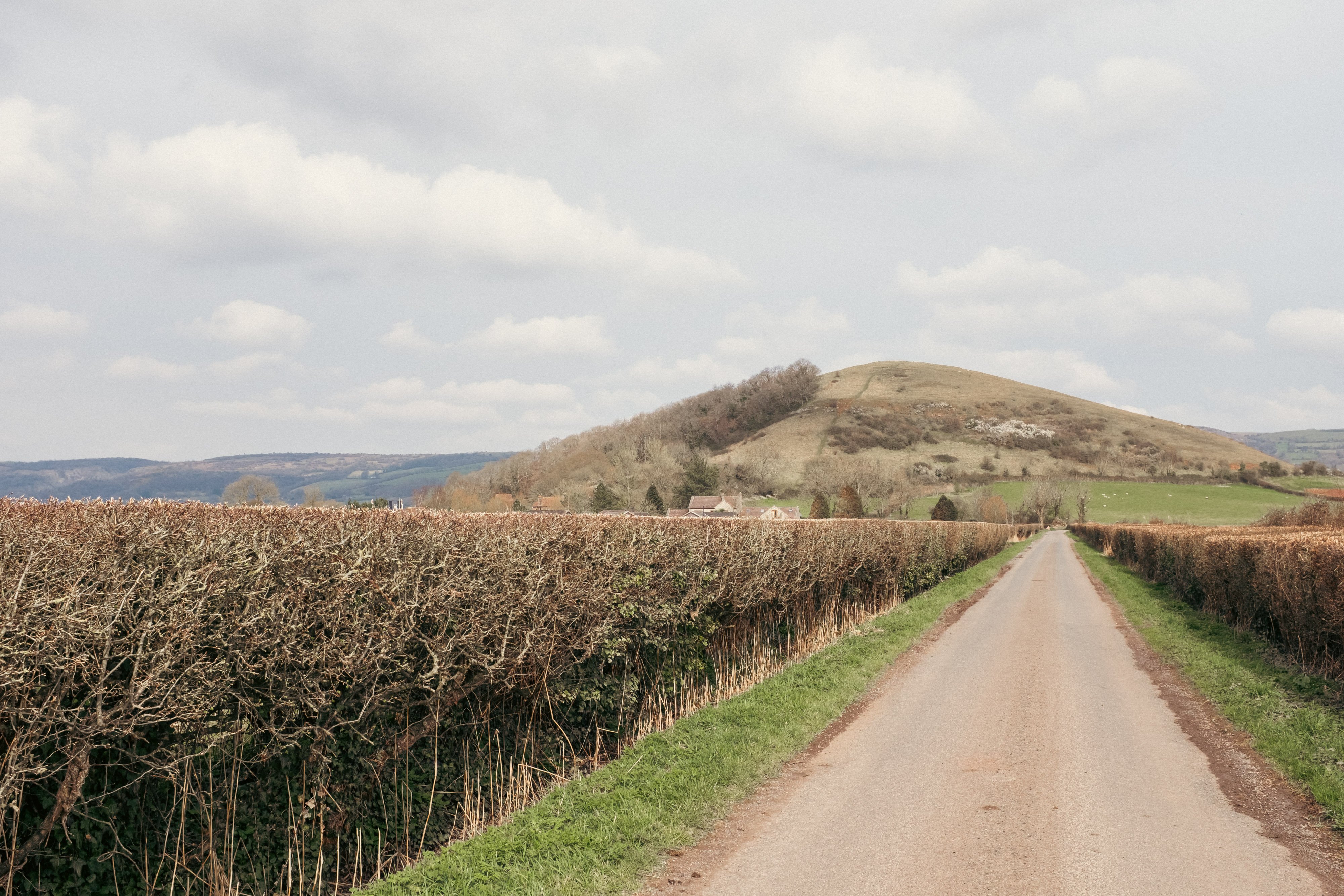 Nyland Hill | Walks and Pictures