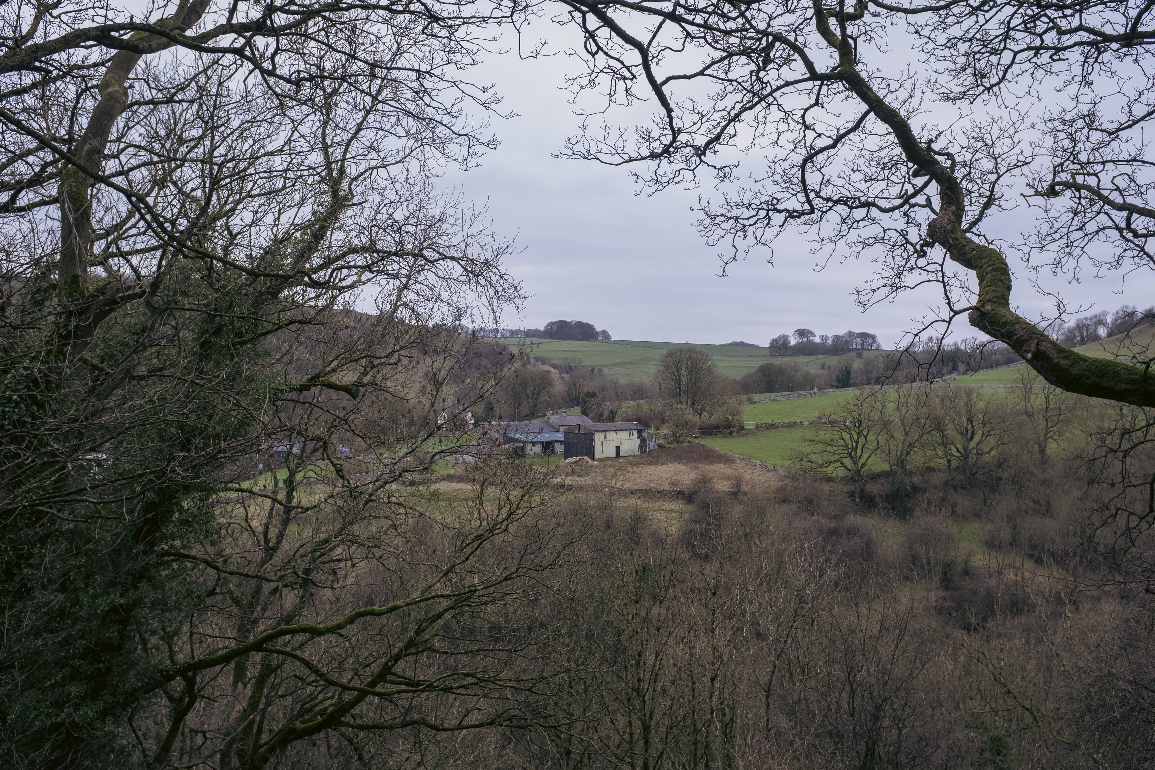 Monk's Dale | Walks and Pictures